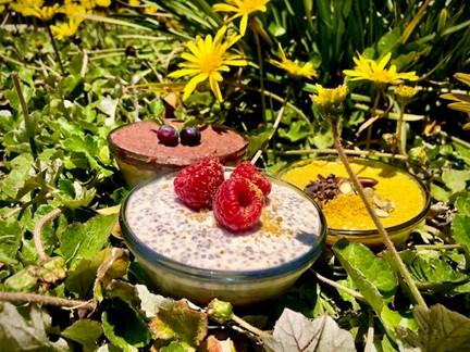 Trifling With Chia – Dr. Cowan's Garden